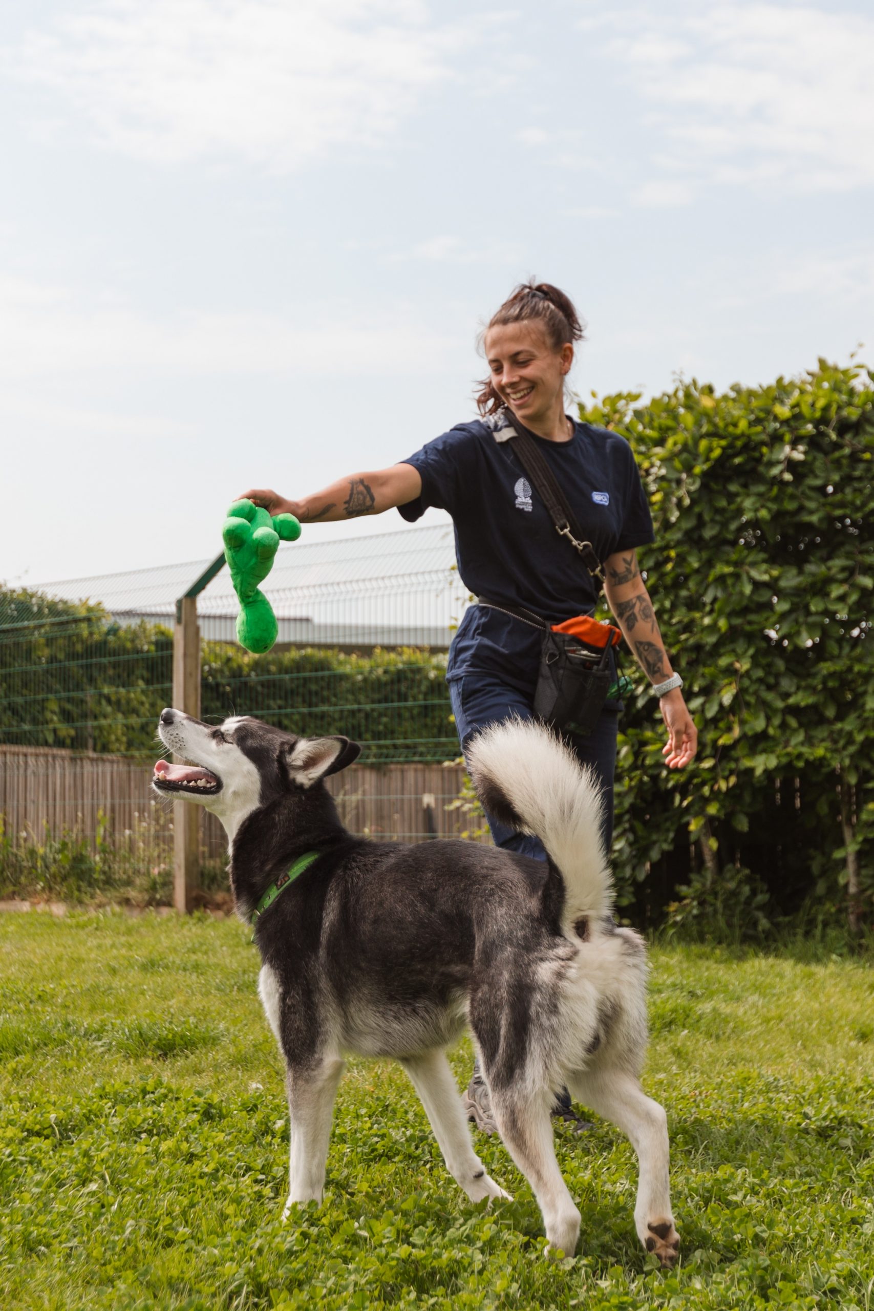 Odin - Cotswolds Dogs and Cats Home