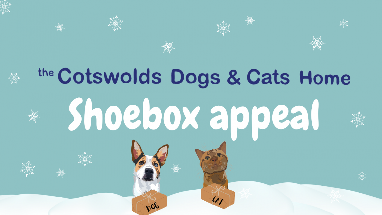 Adopt a Cat - Cotswolds Dogs and Cats Home